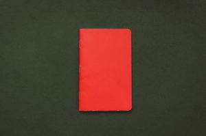 What is the Red Card? Asylum in Spain (Complete Guide)